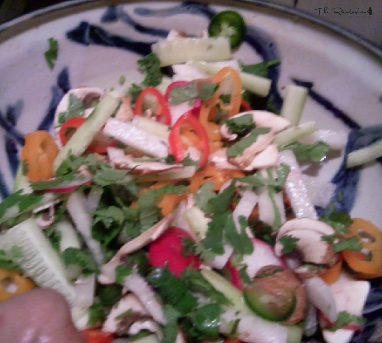 Raw Vegan Ceviche | The Rawtarian