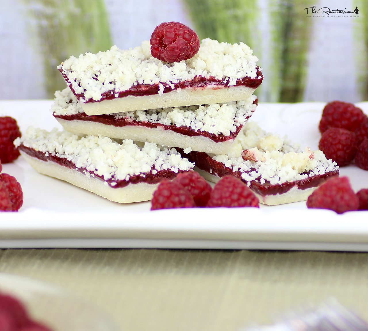 Raw raspberry bars recipe | The Rawtarian